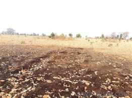 35 Agricultural Farm/Land for Sale in Nagpur - QuikrHomes