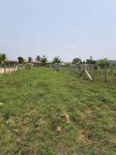 23 Agricultural Farm/Land for Sale in Bangalore - QuikrHomes